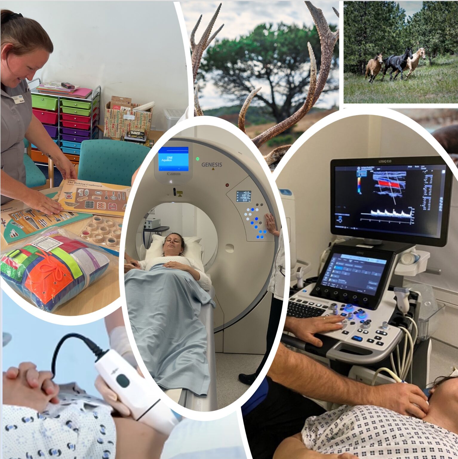 Radiology Posters for Patients - Lymington Hospital Friends